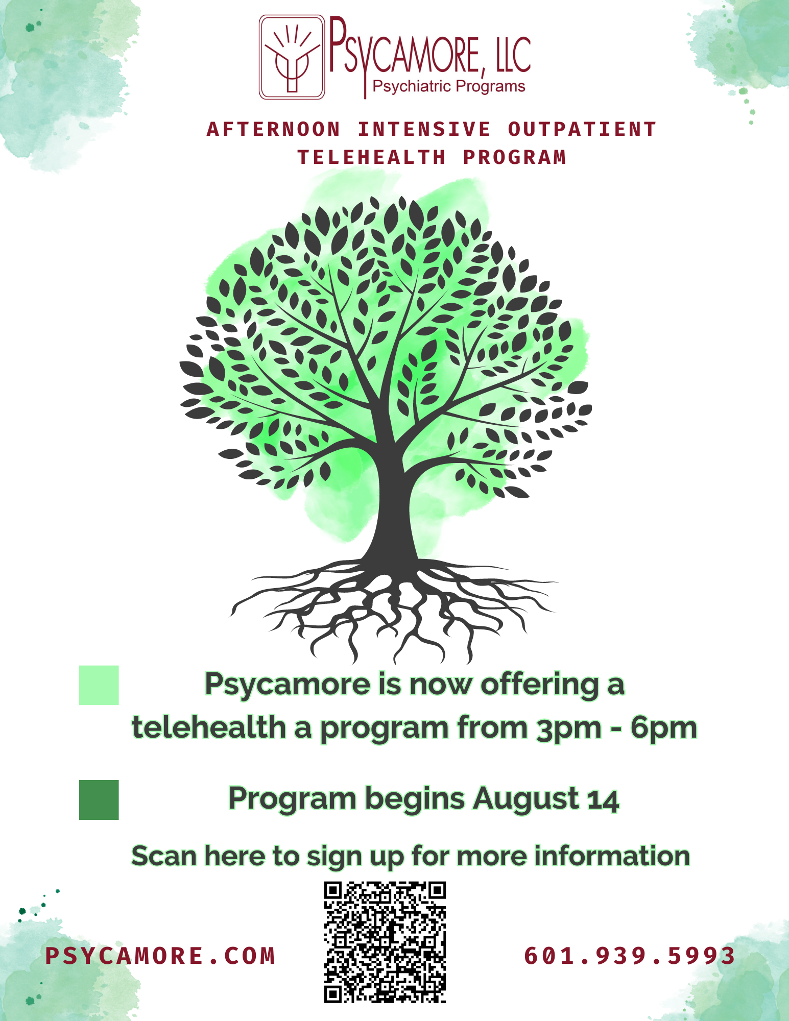 New Afternoon IOP - PSYCAMORE LLC - Mississippi